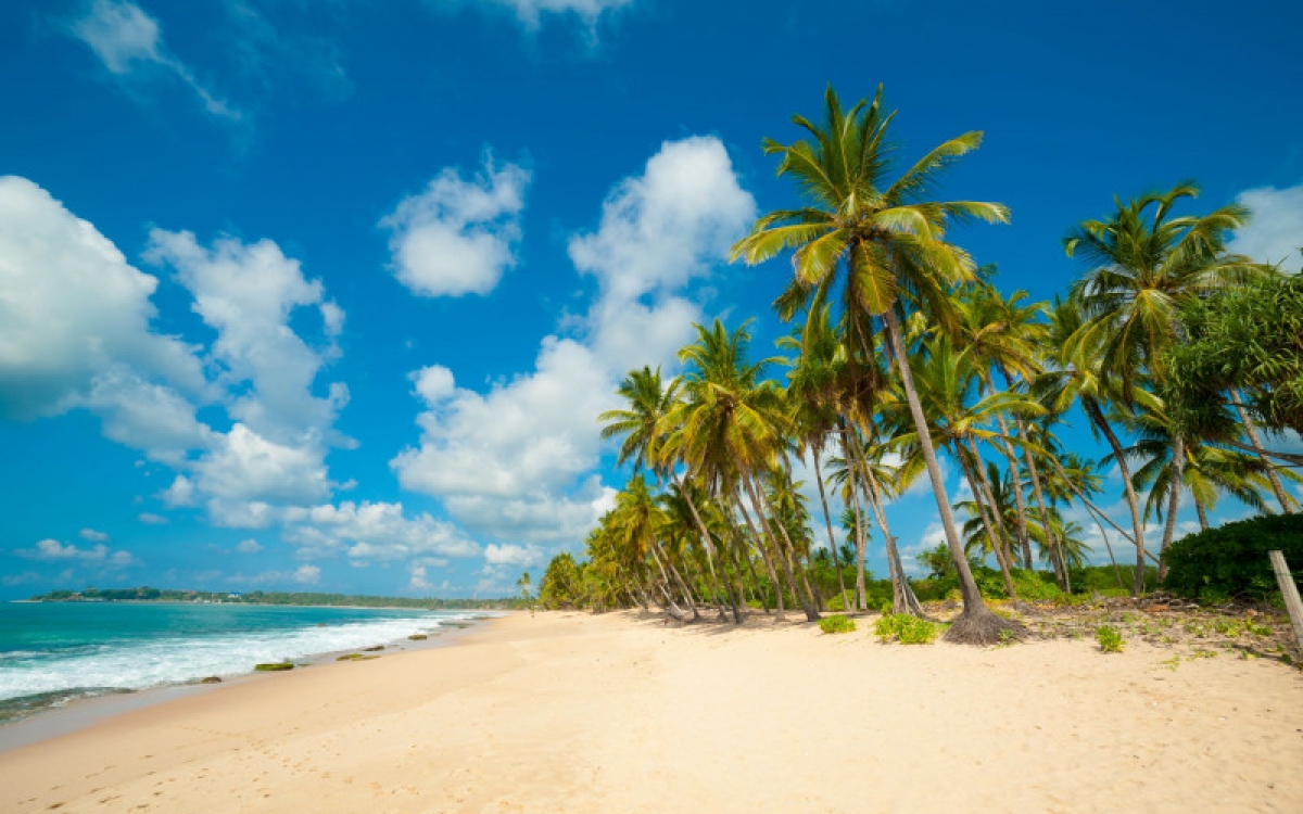 Tropski Maldivi | Turistična Agencija GEA